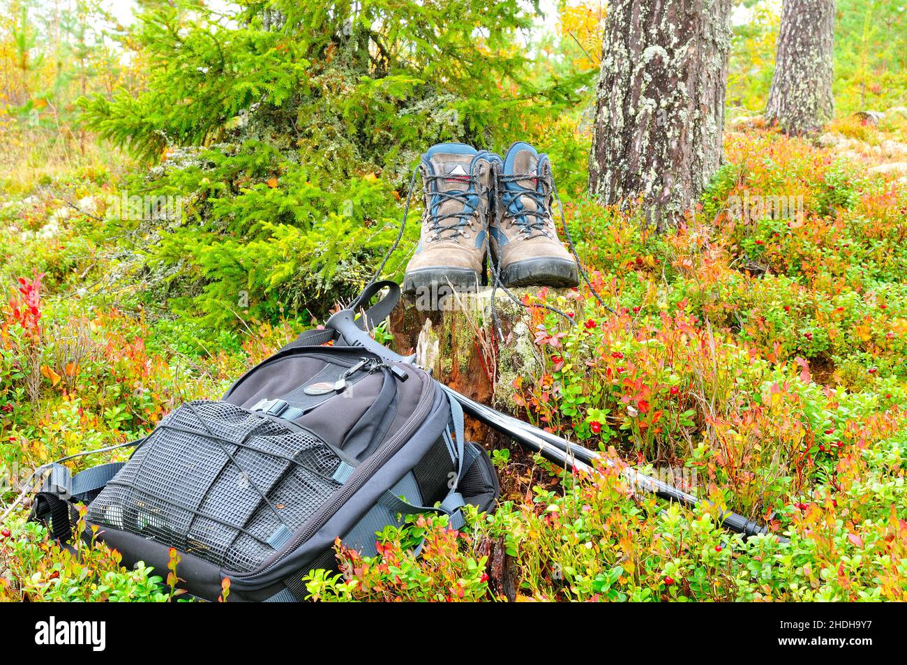 Outdoor recreations hi-res stock photography and images - Alamy