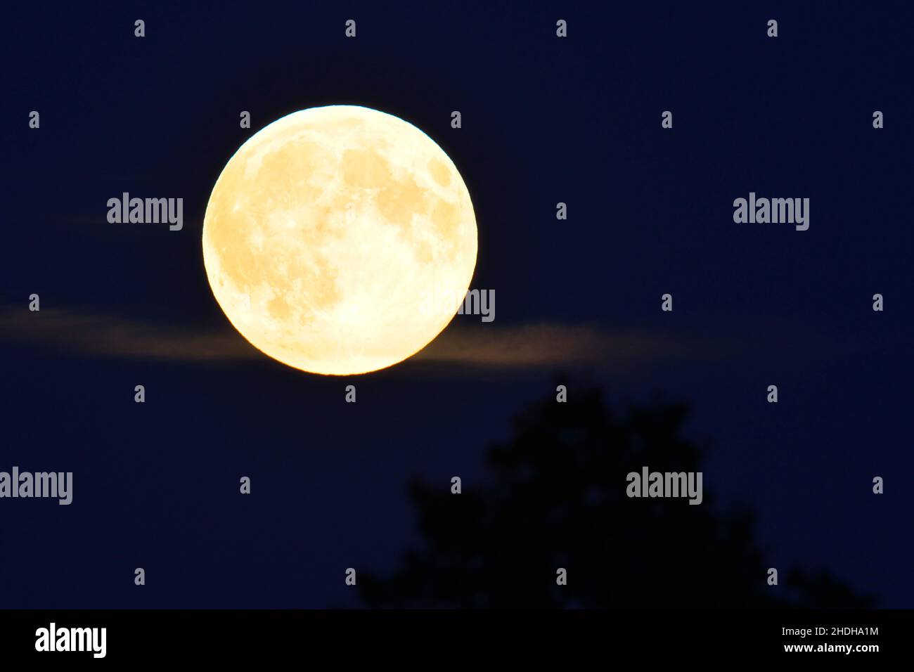 night, moon, full moon, nights, moons, full moons Stock Photo - Alamy