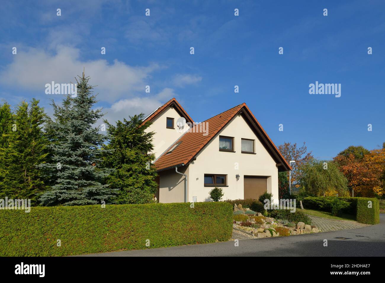 real estate, detached house, housing, real estates, detached houses ...