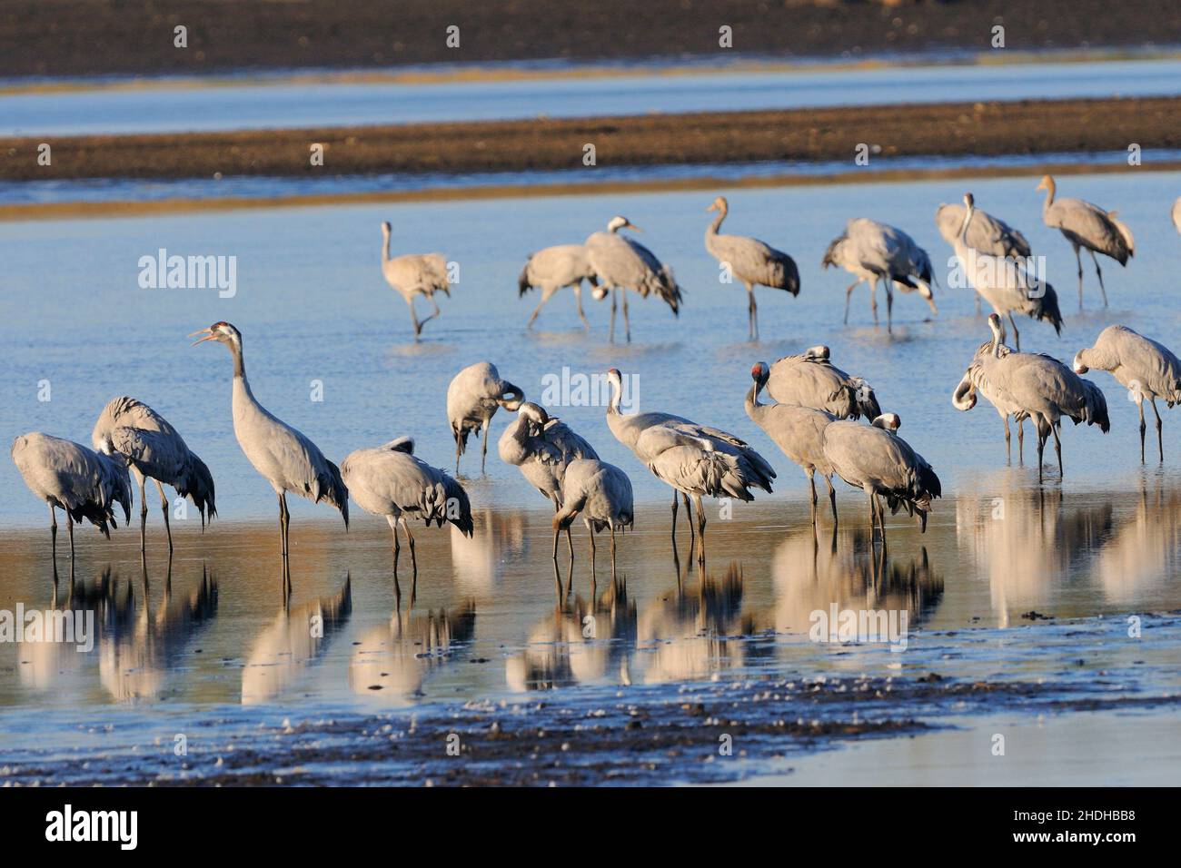 Collecting points hi-res stock photography and images - Alamy