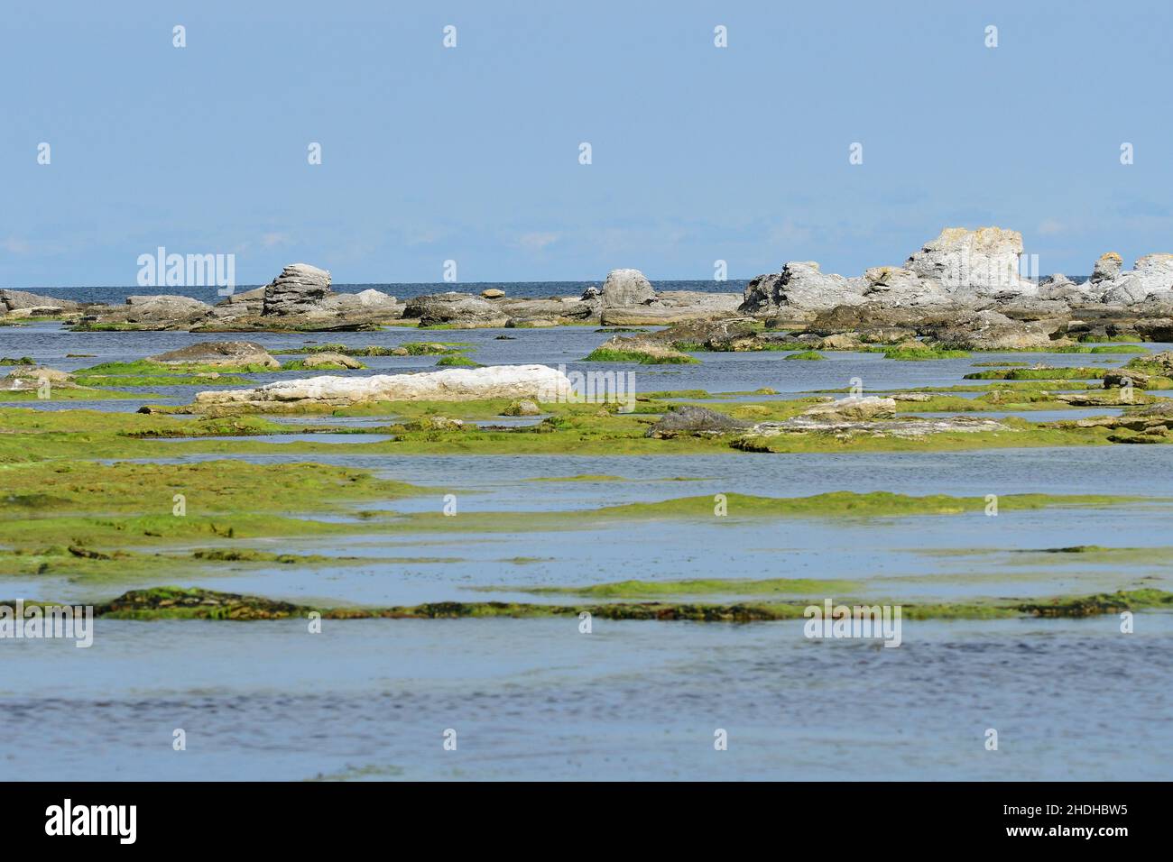 Raukars hi-res stock photography and images - Alamy