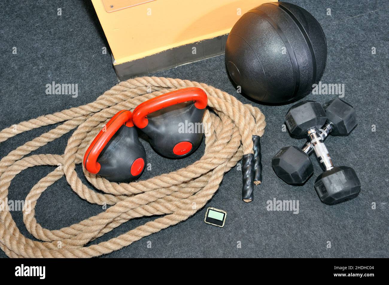 sports training, gym, muscle, exercise, exercising, fitness club ...