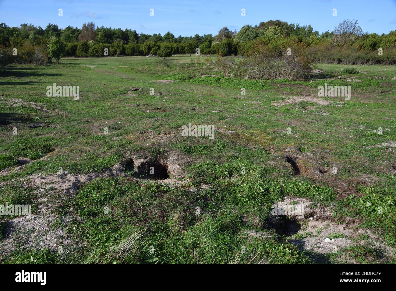 Rabbit holes hi-res stock photography and images - Alamy