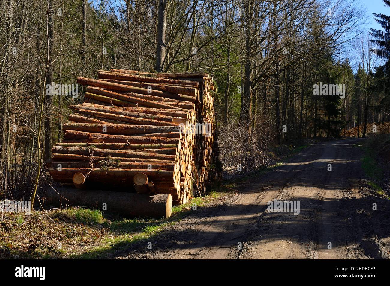 wood pile, timber industry, firewood stack, wood piles, lumber industry ...