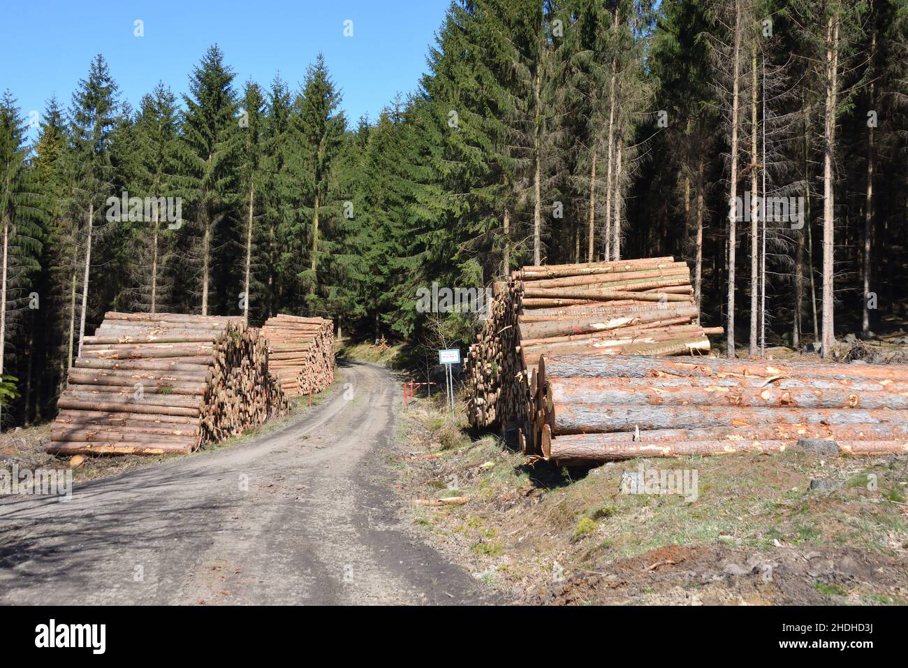 forestry, spruce log, timber, forestries, firs tree log, spruce logs ...