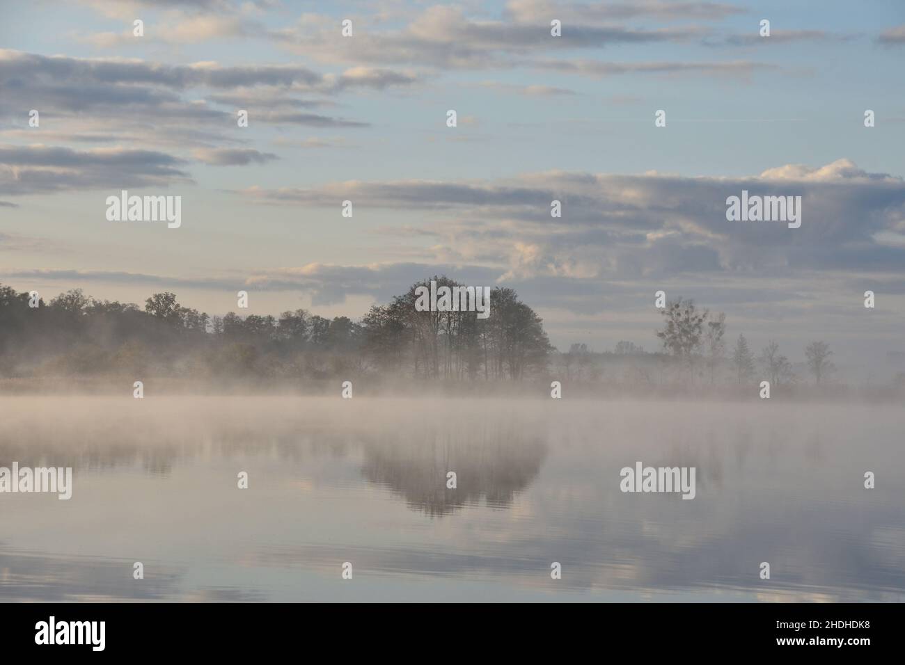 lake, fog, lakes, fogs Stock Photo - Alamy