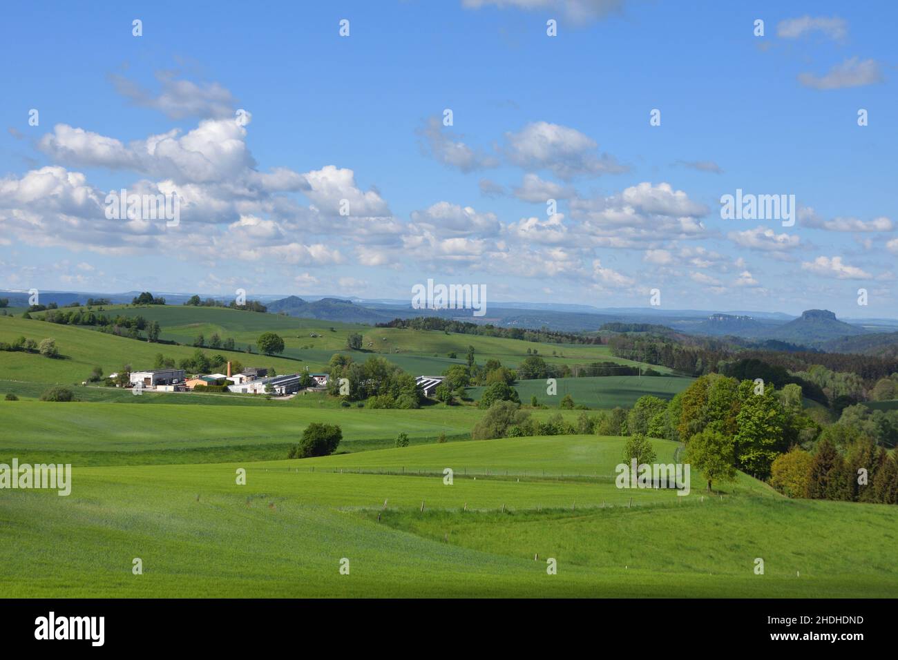 meadows, central mountains, saxon switzerland, meadow, central mountain ...