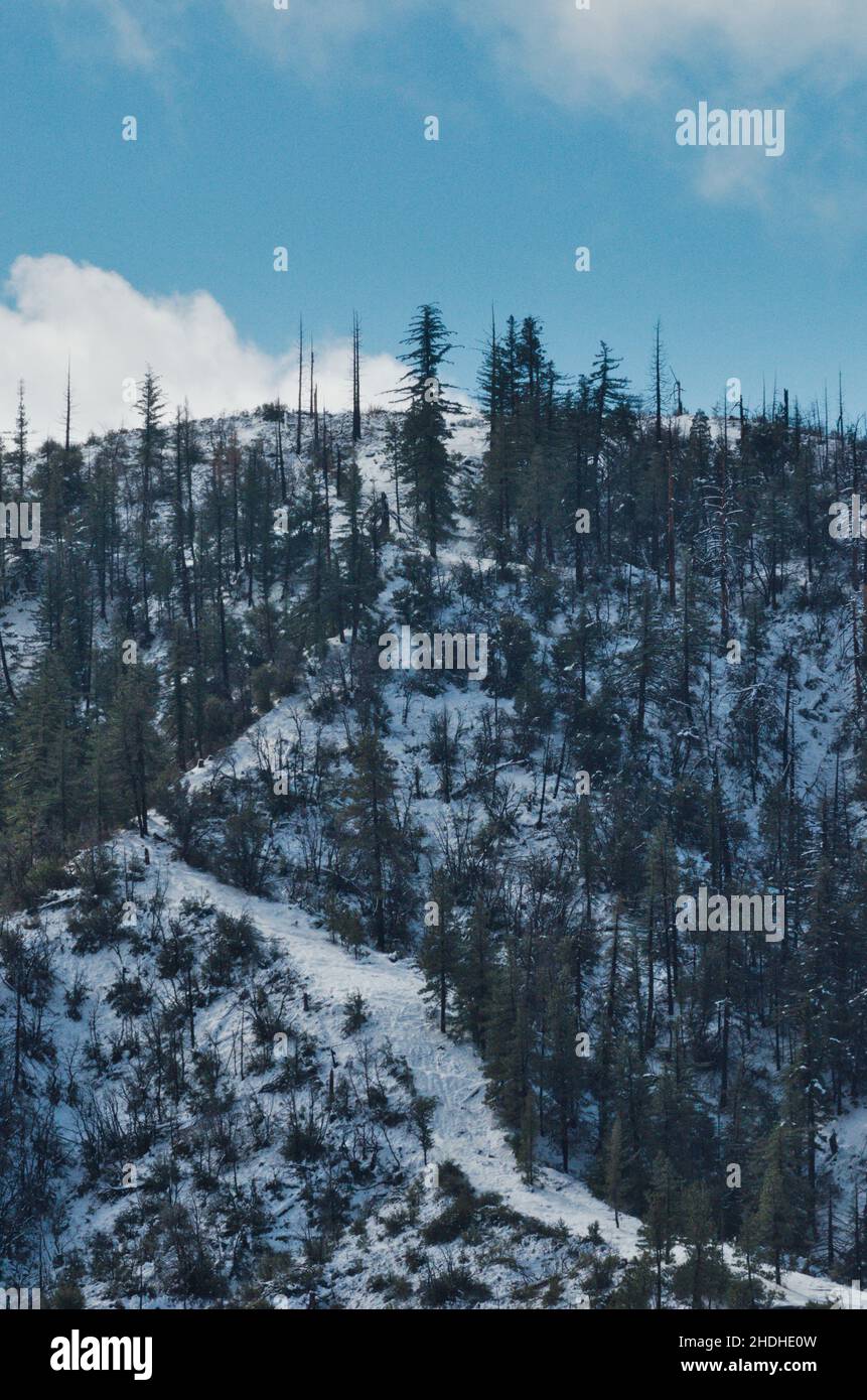 Vista dtla hi-res stock photography and images - Alamy