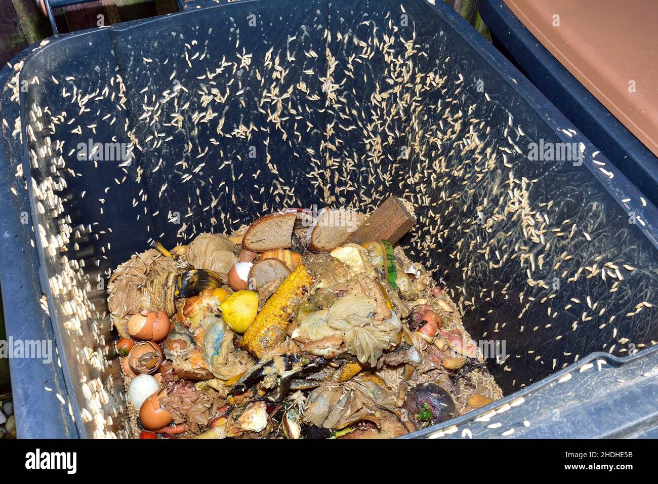 biowaste, leftover food, kitchen garbage, biowastes, leftover foods ...