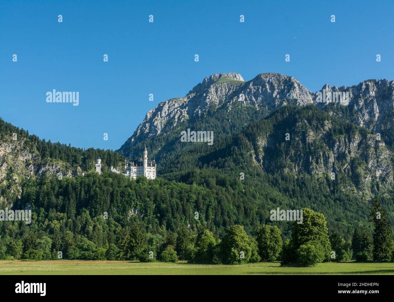 castle neuschwanstein, neuschwanstein castles Stock Photo - Alamy
