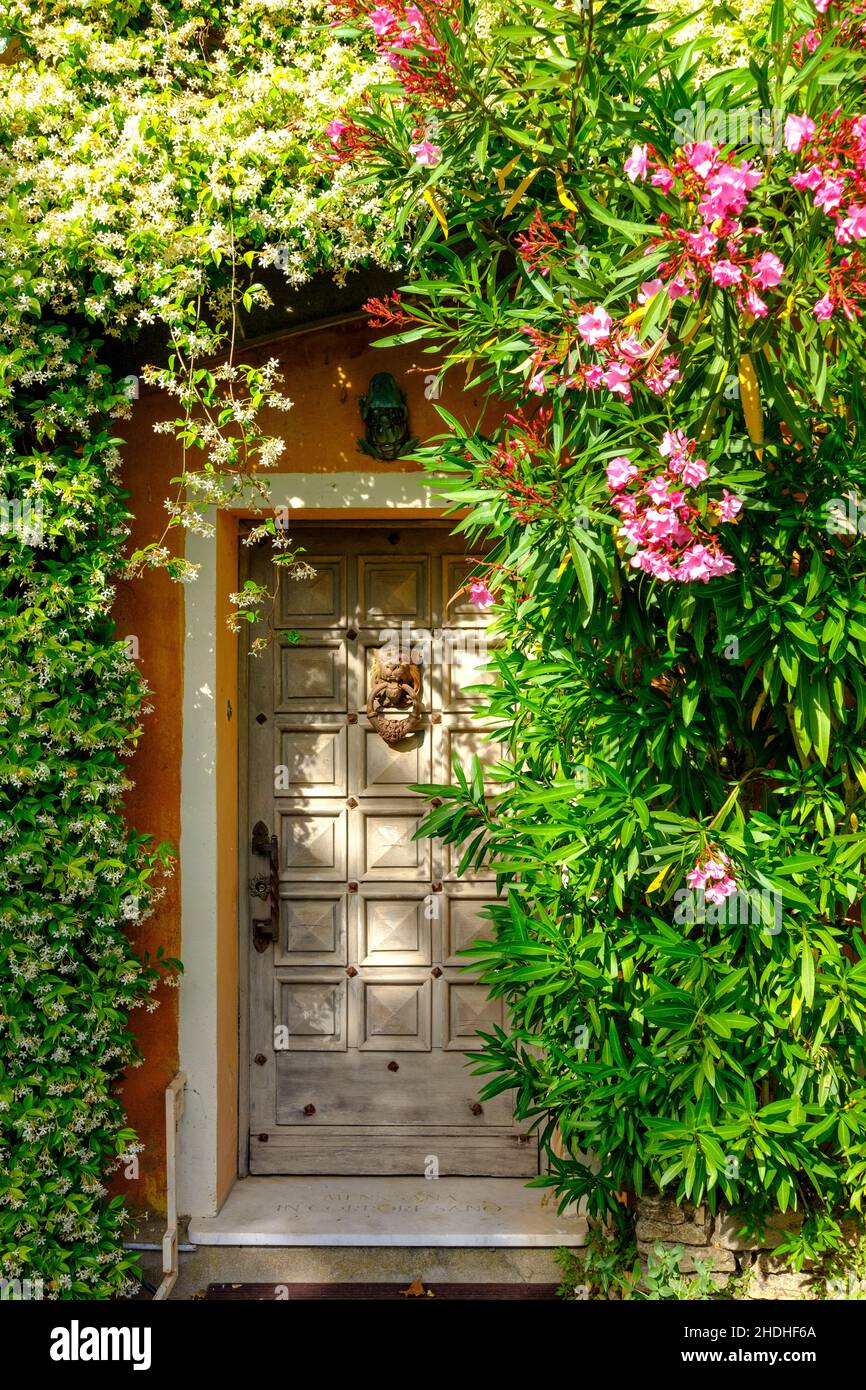 front door, overgrown, front doors, frontdoor, overgrowns Stock Photo ...
