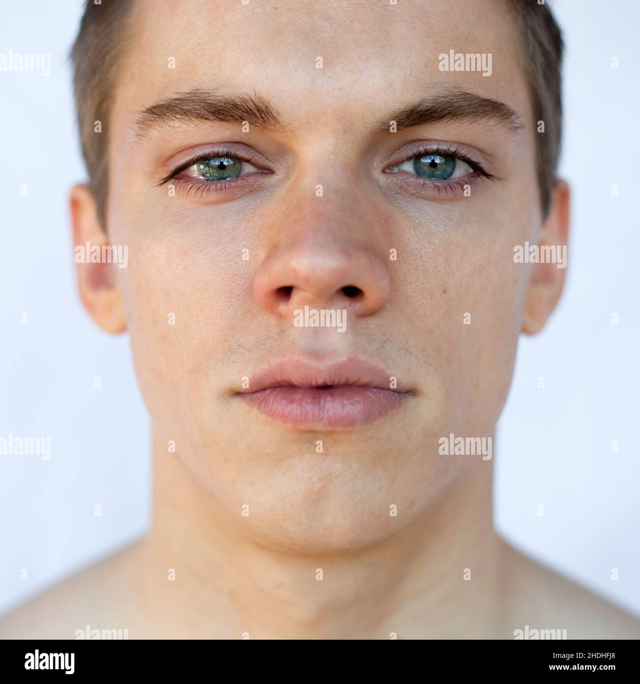 young man, face, portrait, distinctive, guy, man, men, young, faces ...
