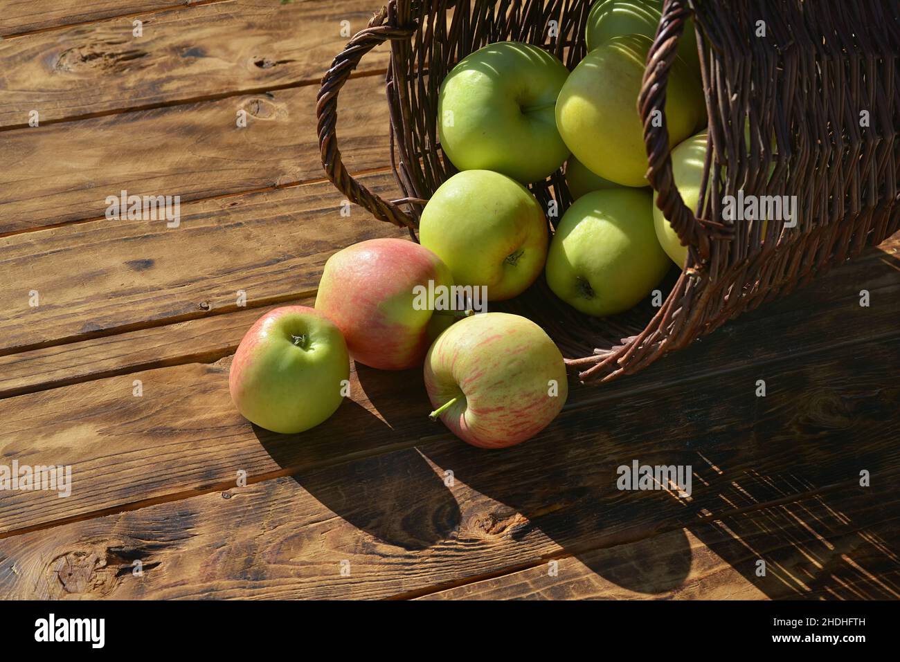 apple, harvest, hardwood floor, apples, harvests, hardwood floors Stock ...