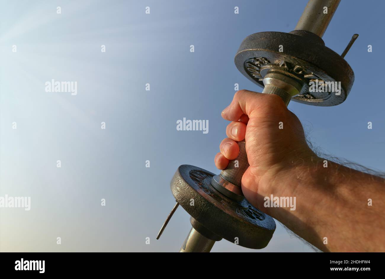 hand, dumbbell training, short dumbbell, hands, short dumbbells Stock ...