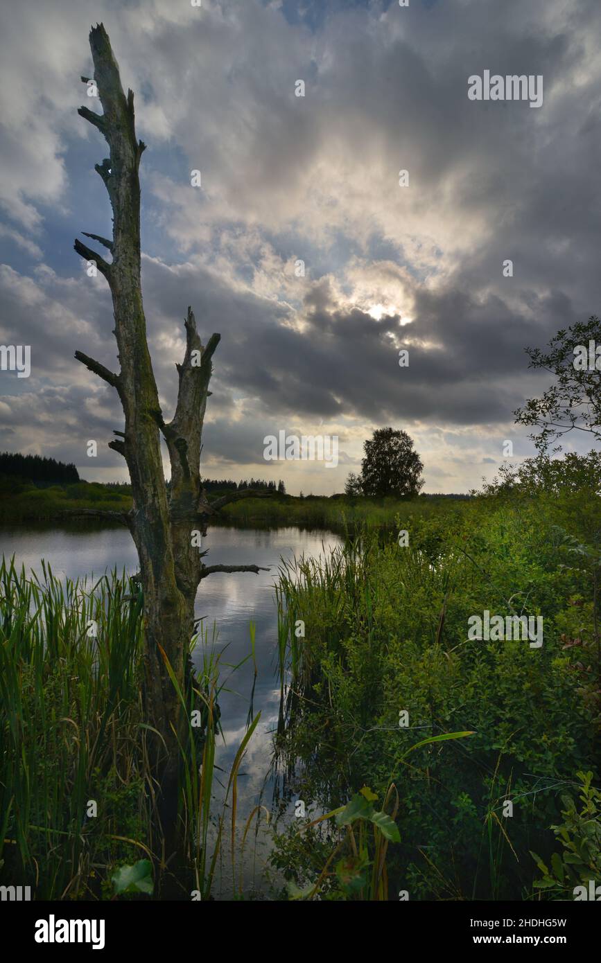 Fens landscape hi-res stock photography and images - Alamy