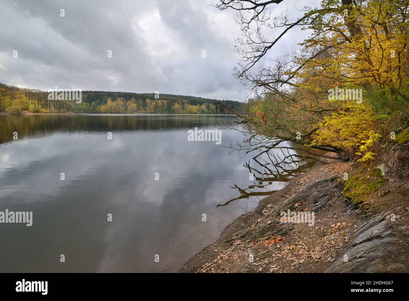 Steinbachtalsperre hi-res stock photography and images - Alamy
