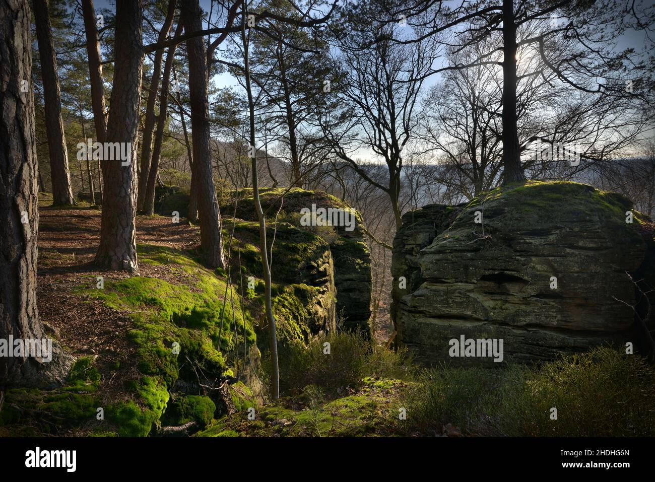 sandstone cliffs, sandstone cliff Stock Photo - Alamy
