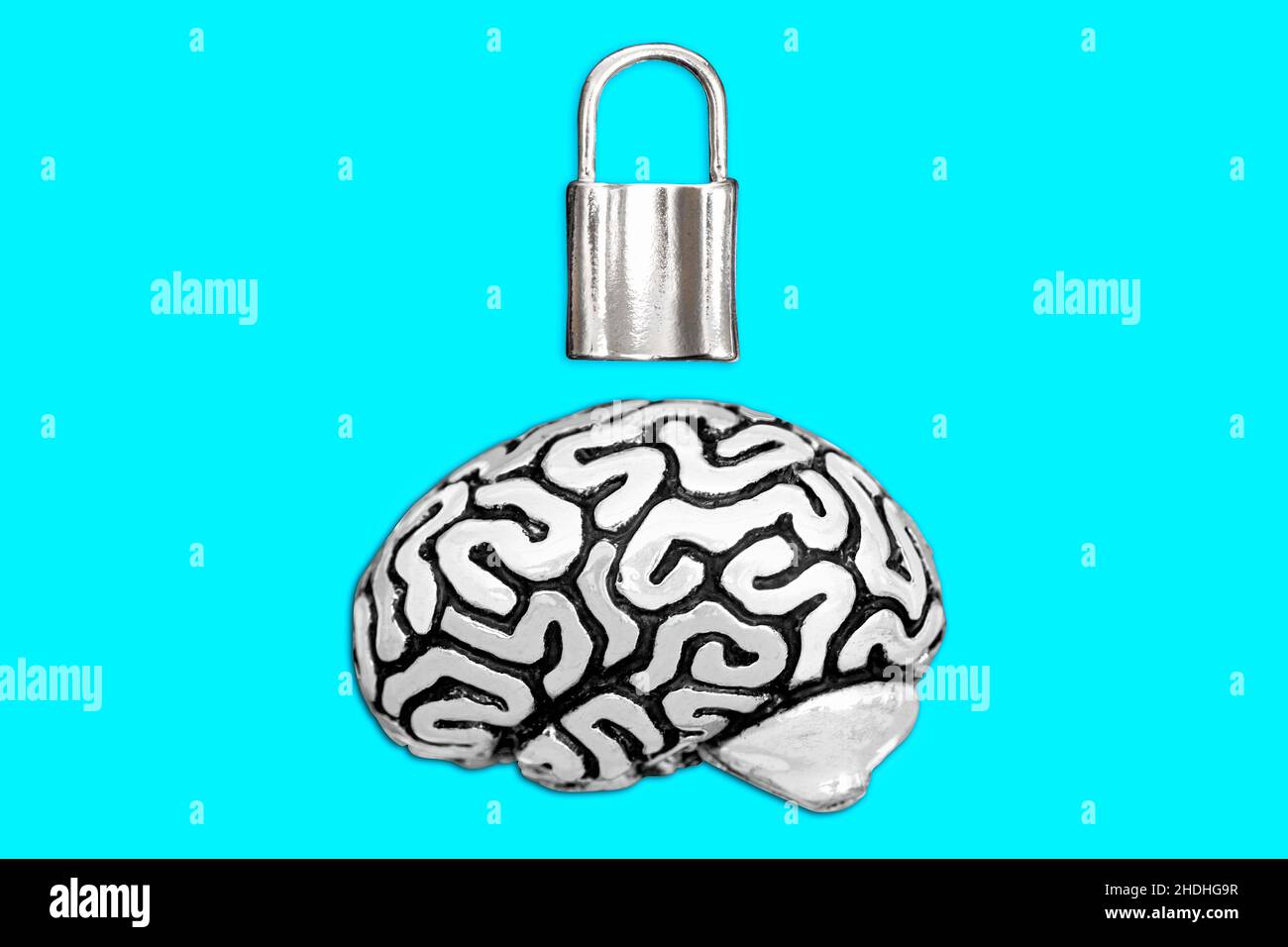 Anatomical copy of a human brain with a steel padlock isolated on a ...