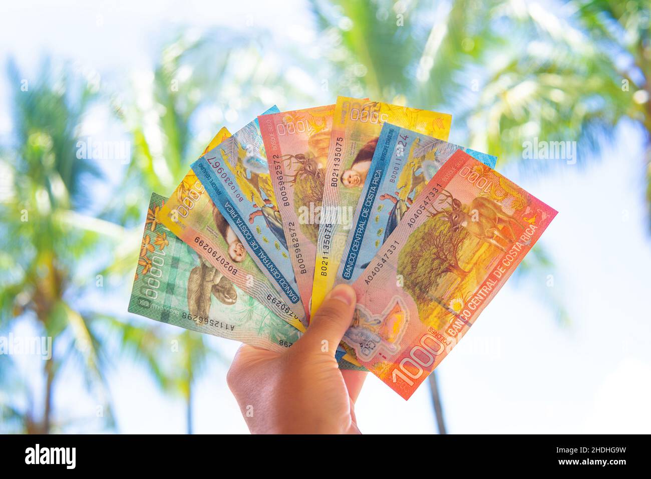 Hand holding Costa Rican banknotes against a tropical background Stock ...