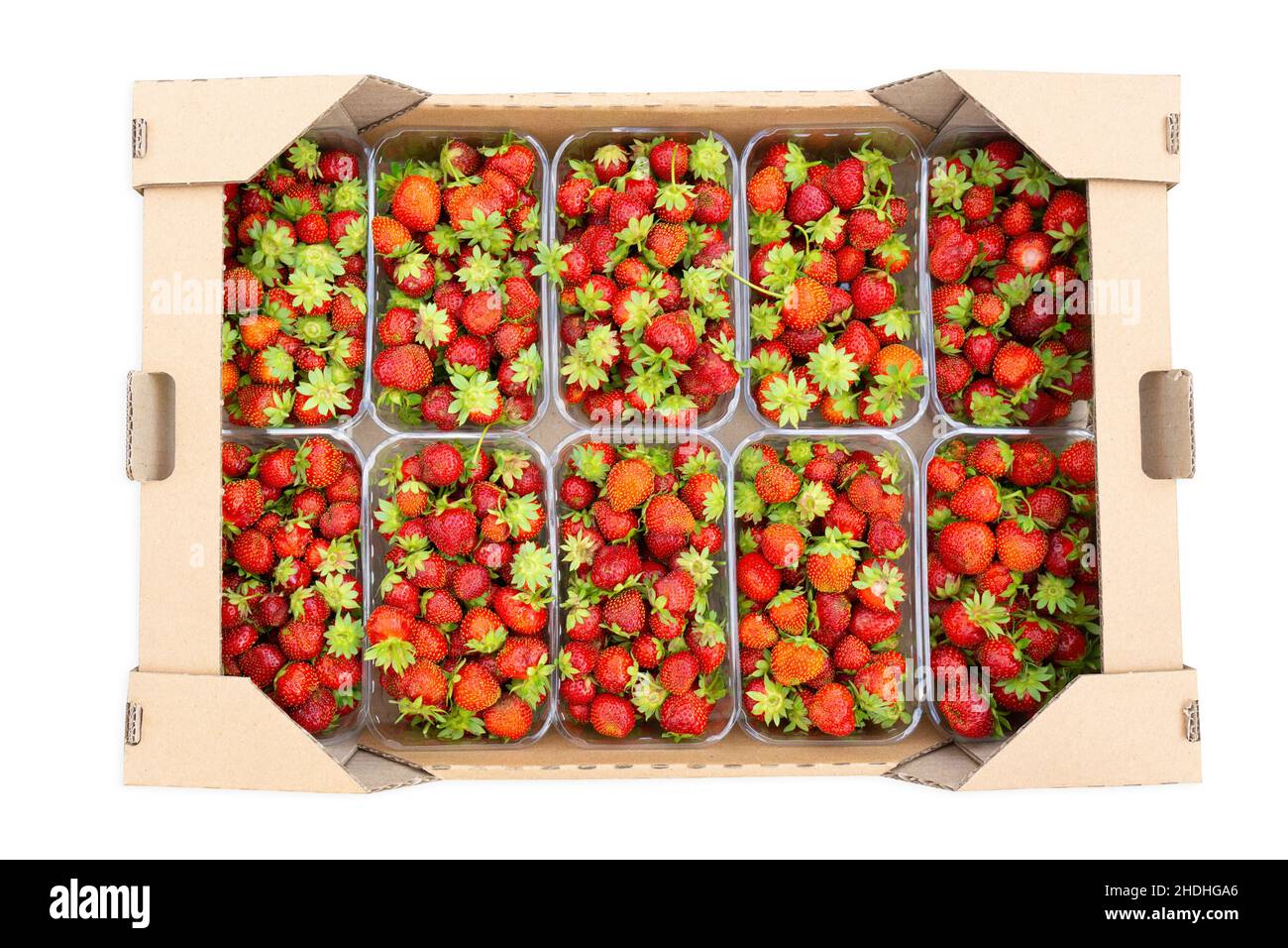 Shipping box with handpicked strawberries in plastic containers ready ...