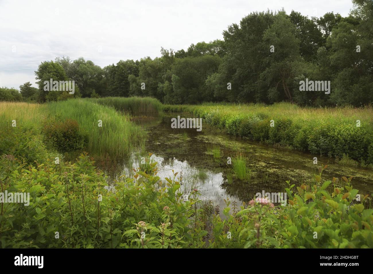 wildlife reserve, nature reserve, wild, wildlife reserves Stock Photo ...