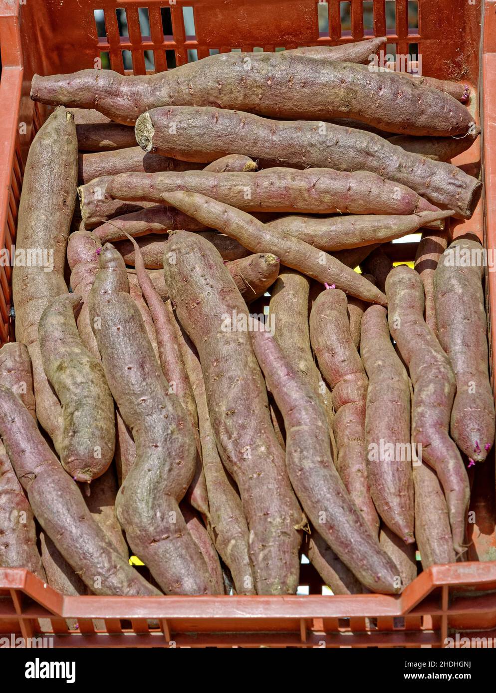 Yam variety hi-res stock photography and images - Alamy