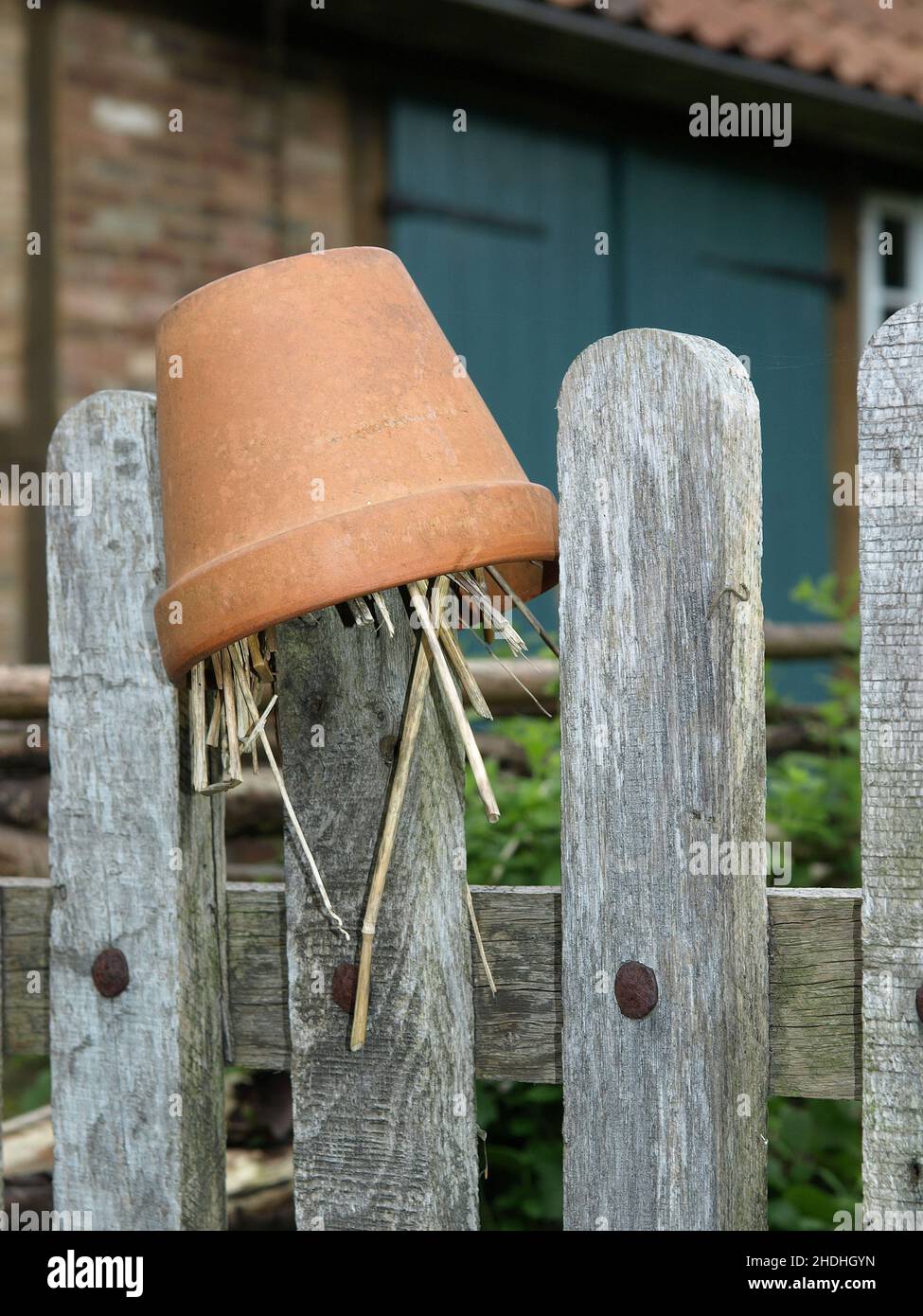 flower pot, pale fence, pest control, flower pots, pale fences, pest ...