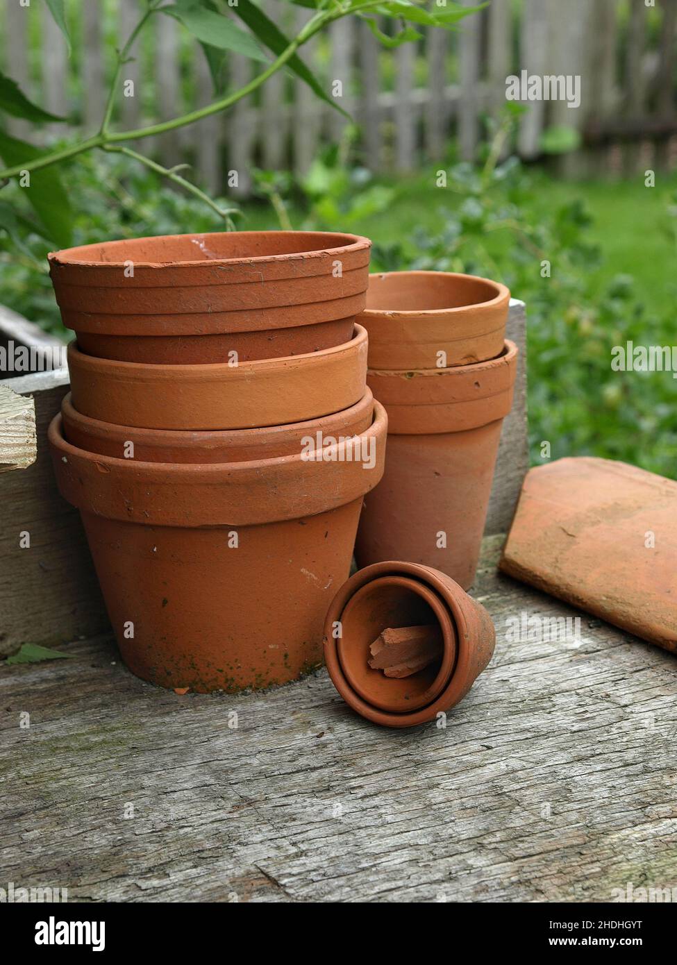 still life, flower pot, clay pot, still lifes, flower pots, clay jug ...