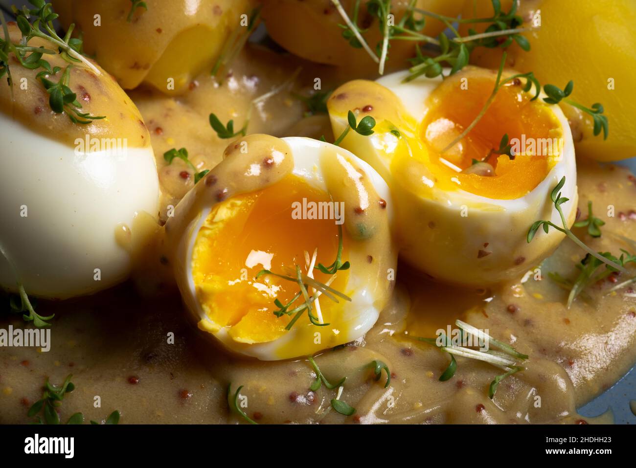 egg meal, senfeier, mustard sauce, egg dishware, egg meals, senfeiers ...