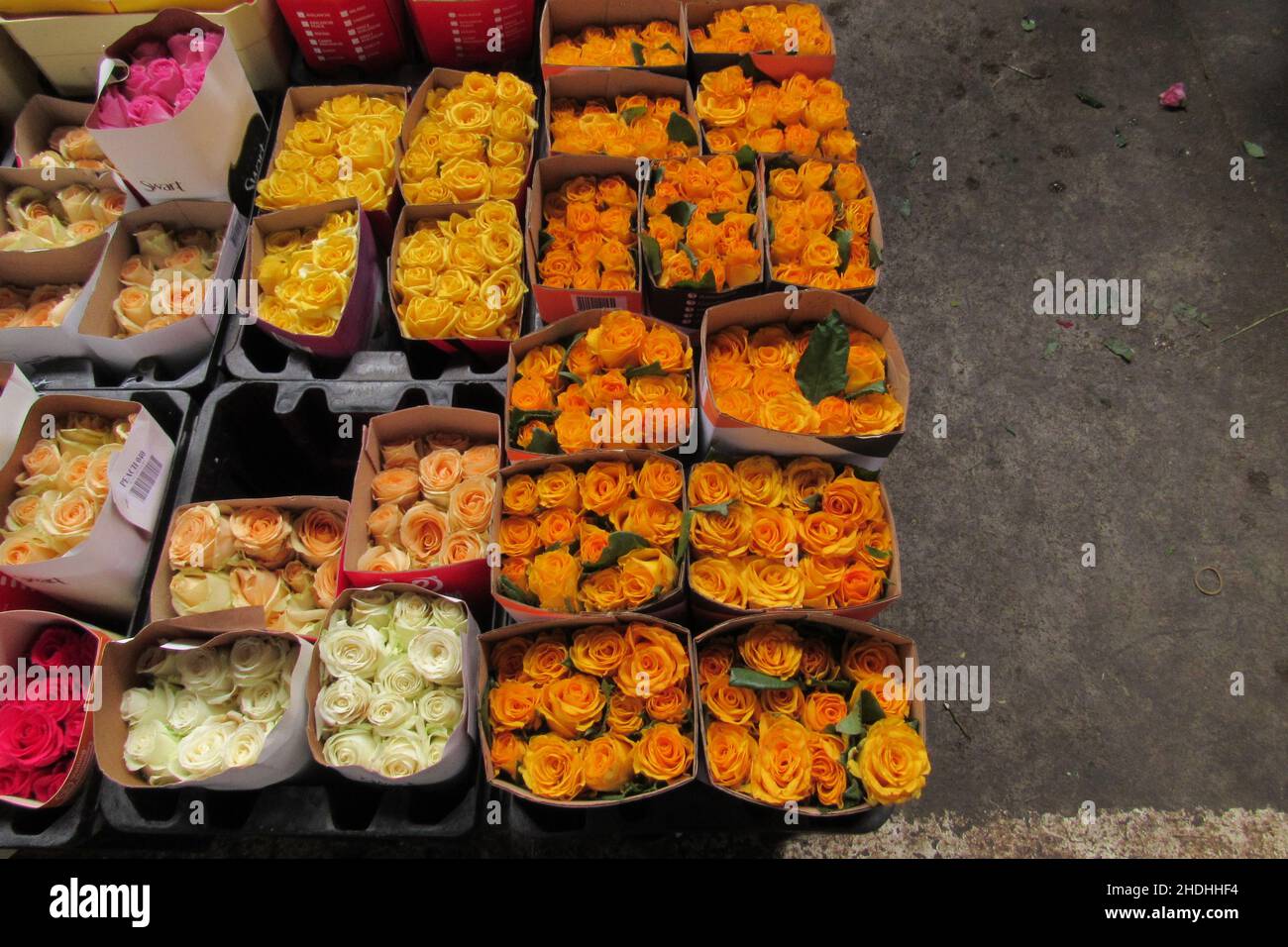 Mercado de rosas hi-res stock photography and images - Alamy