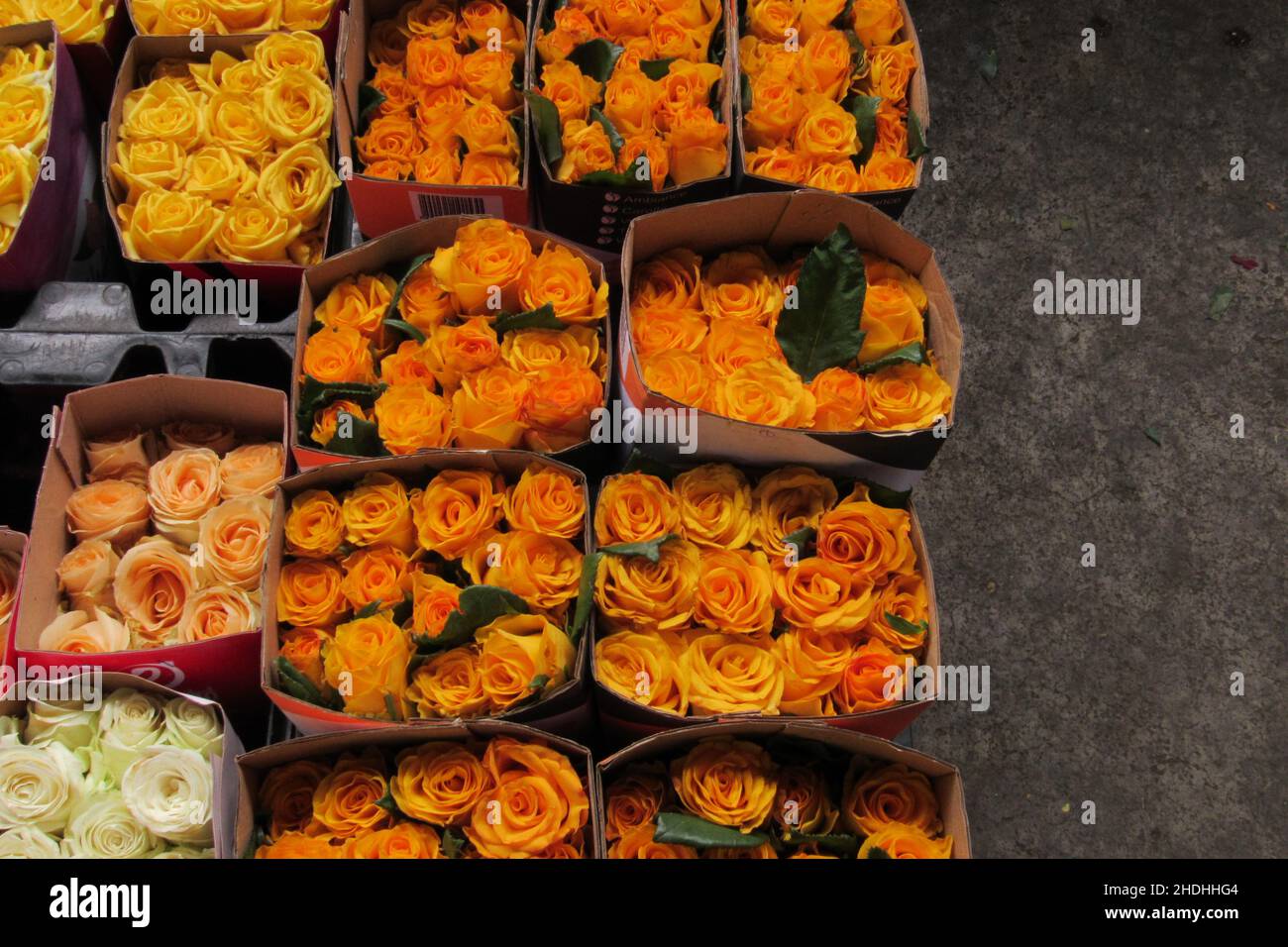 Mercado de rosas hi-res stock photography and images - Alamy