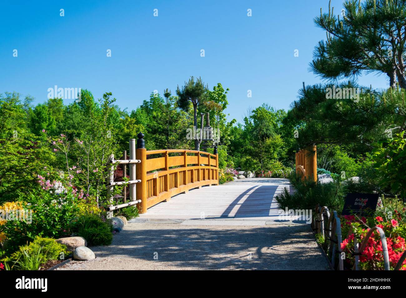 Ornamental wooden foot bridge in a a garden setting Stock Photo - Alamy