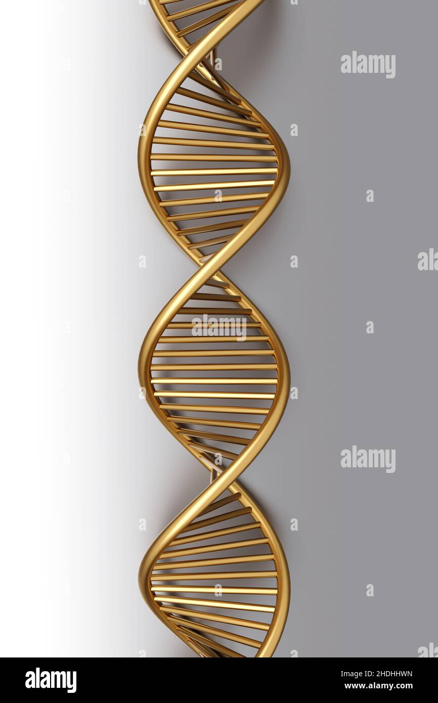 dna, genome, double helix, dnas, genomes, double helixs Stock Photo - Alamy