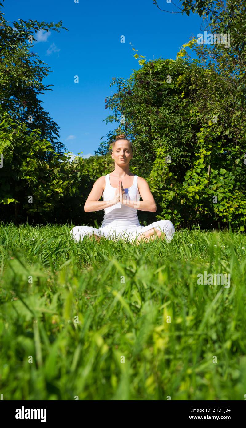 park, yoga, lotus position, parks, yogas, lotus positions Stock Photo ...