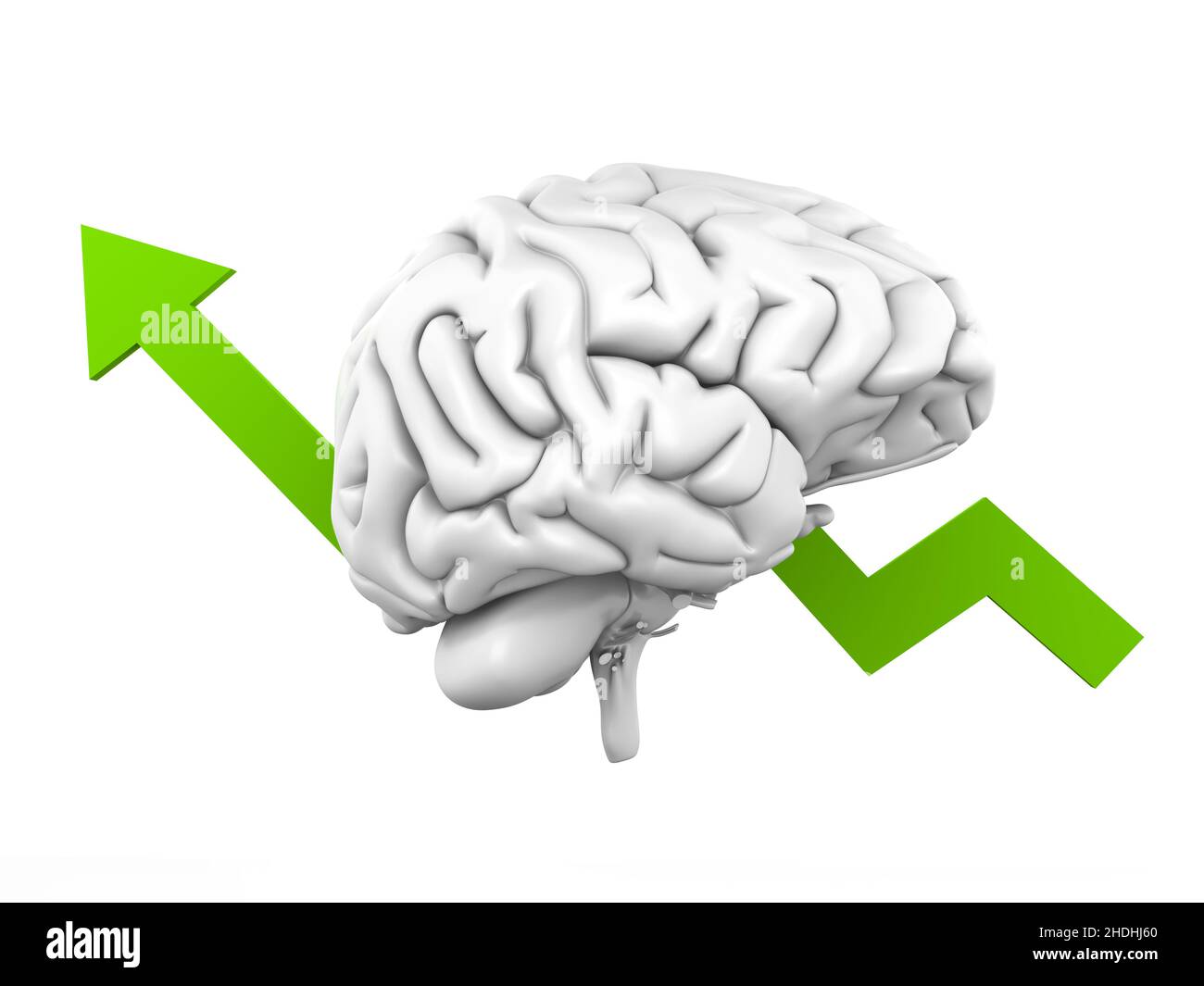 growth, intelligence, brain, growths, rise, intelligences, brains Stock ...