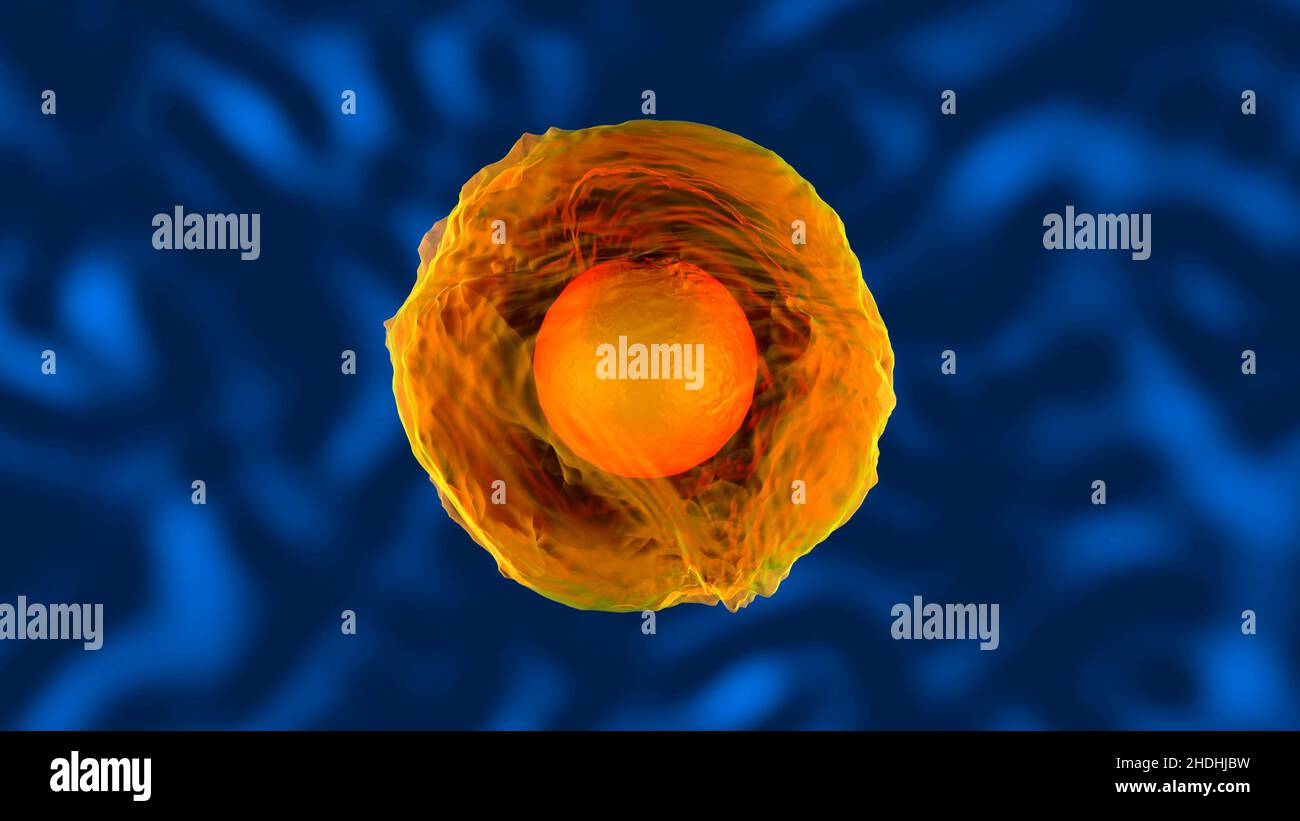 cell, microbiology, organism, cells, microbiologies, organisms Stock ...