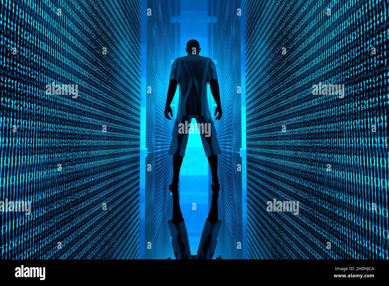 biometrics, identification, coding, biometric, identifications Stock ...