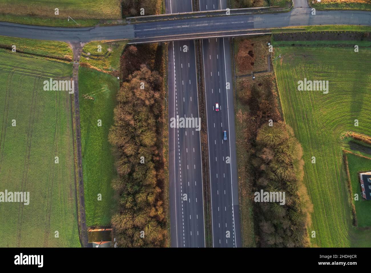 Slow motion top view shot hi-res stock photography and images - Alamy