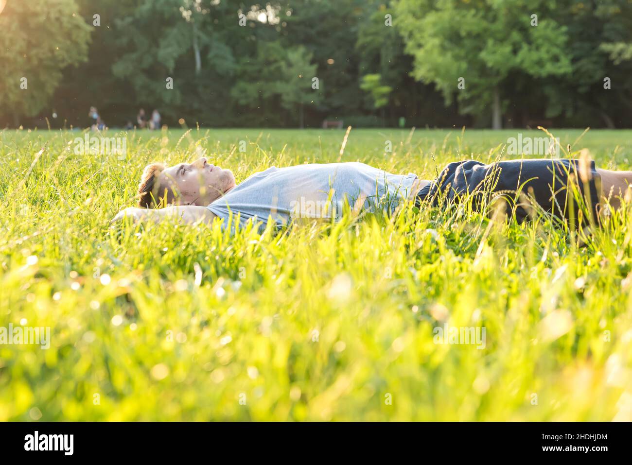 meadow, lying, relax, meadows, lying down, relaxation Stock Photo - Alamy