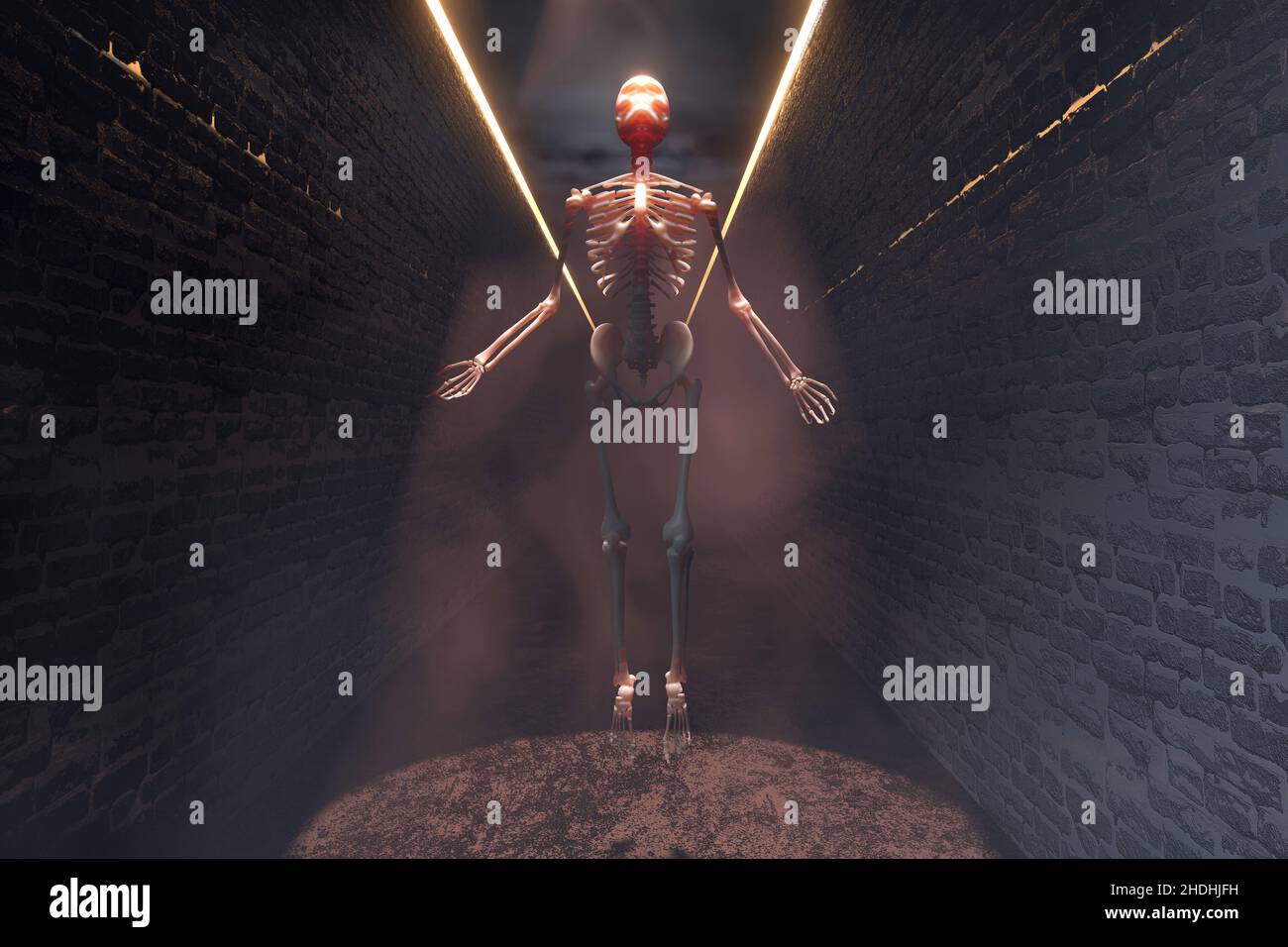 dead, skeleton, spooky, deads, skeletons, spookies Stock Photo - Alamy