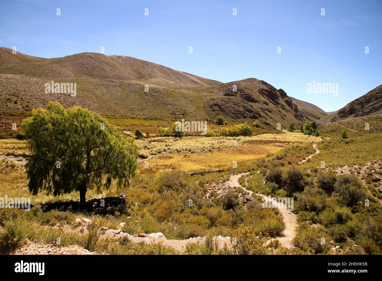 landscape, province of jujuy, landscapes, rural, rural scene, scene ...