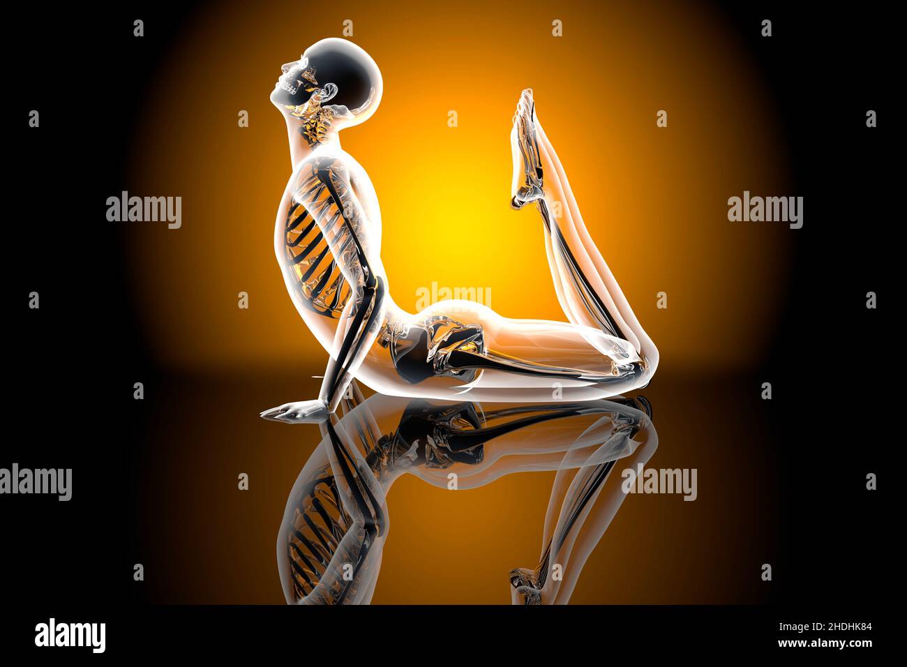 yoga, back bending, flexibility, yogas, backbend, backbends Stock Photo ...