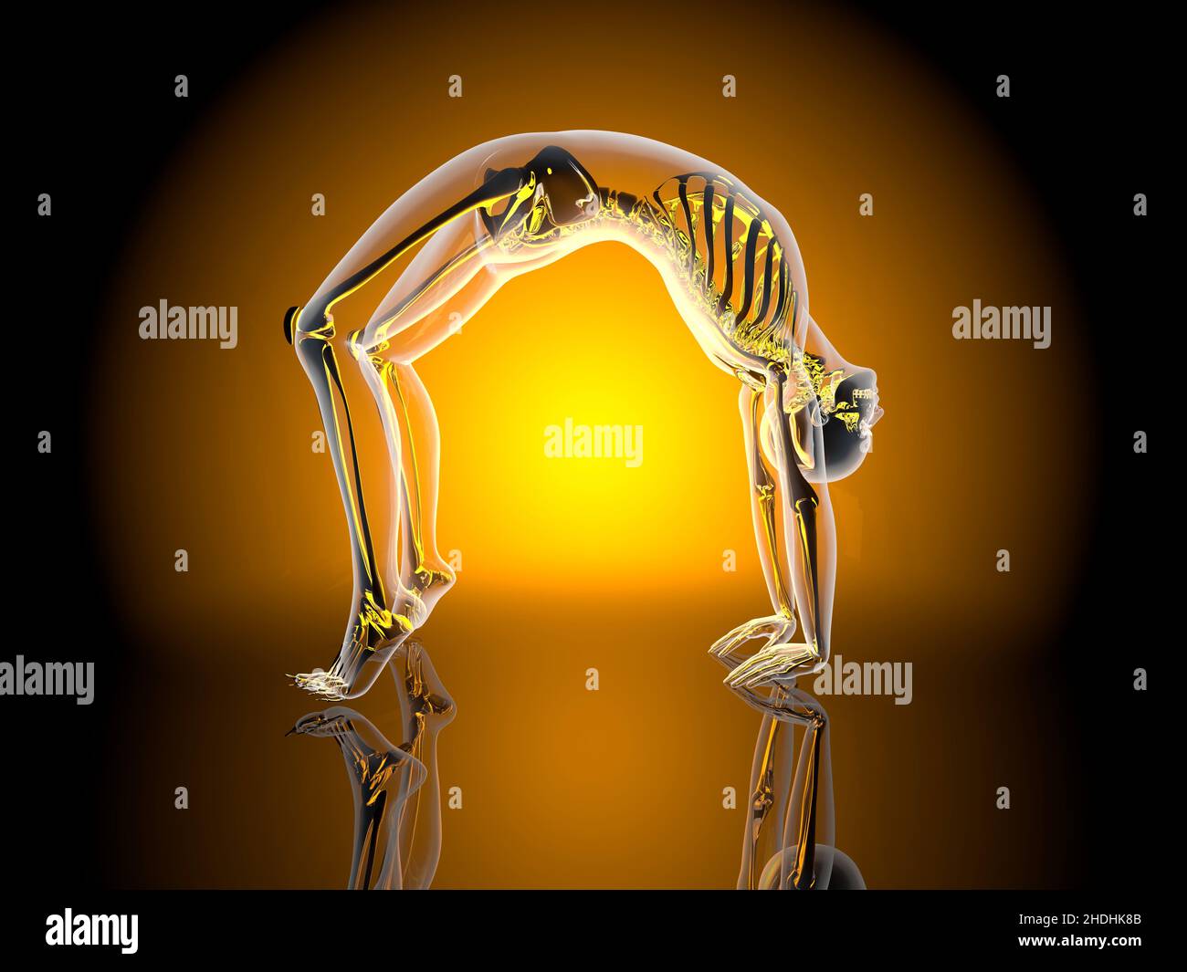 yoga, back bending, flexibility, yogas, backbend, backbends Stock Photo ...