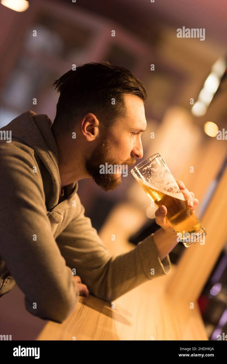 drinking, beer, bar counter, to drink, beers, bar counters Stock Photo ...