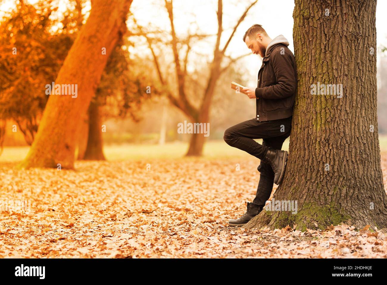 man, park, reading, guy, men, parks, read, reading a book, reading ...
