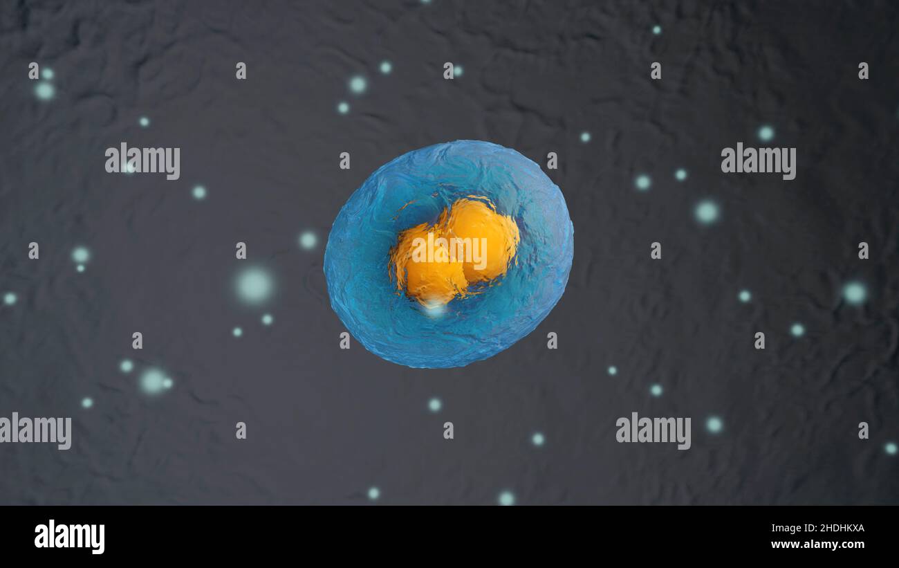 science, cell, division, sciences, cells, divisions Stock Photo - Alamy