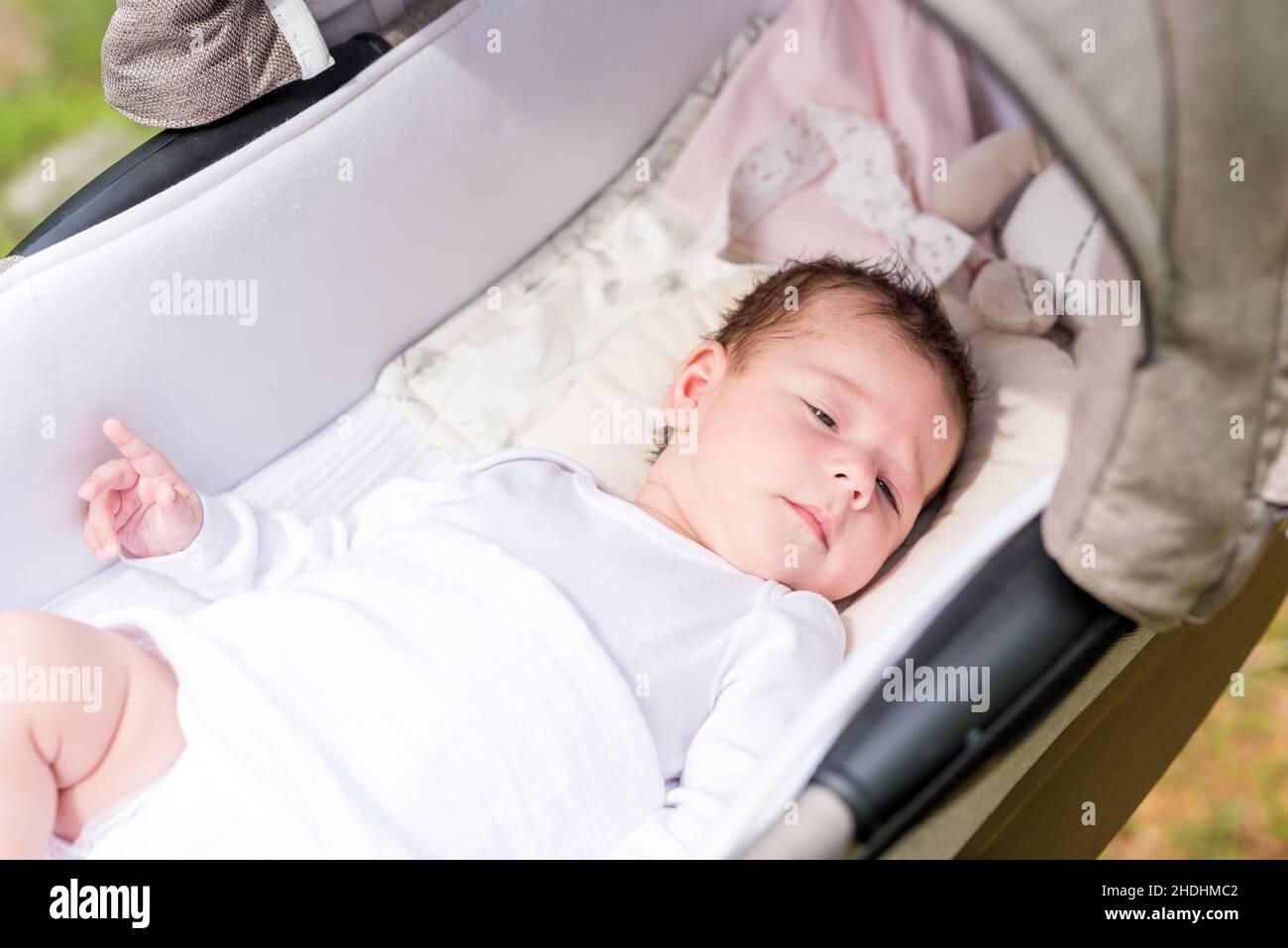 baby, baby stroller, babe, babies, human babies, baby strollers Stock ...