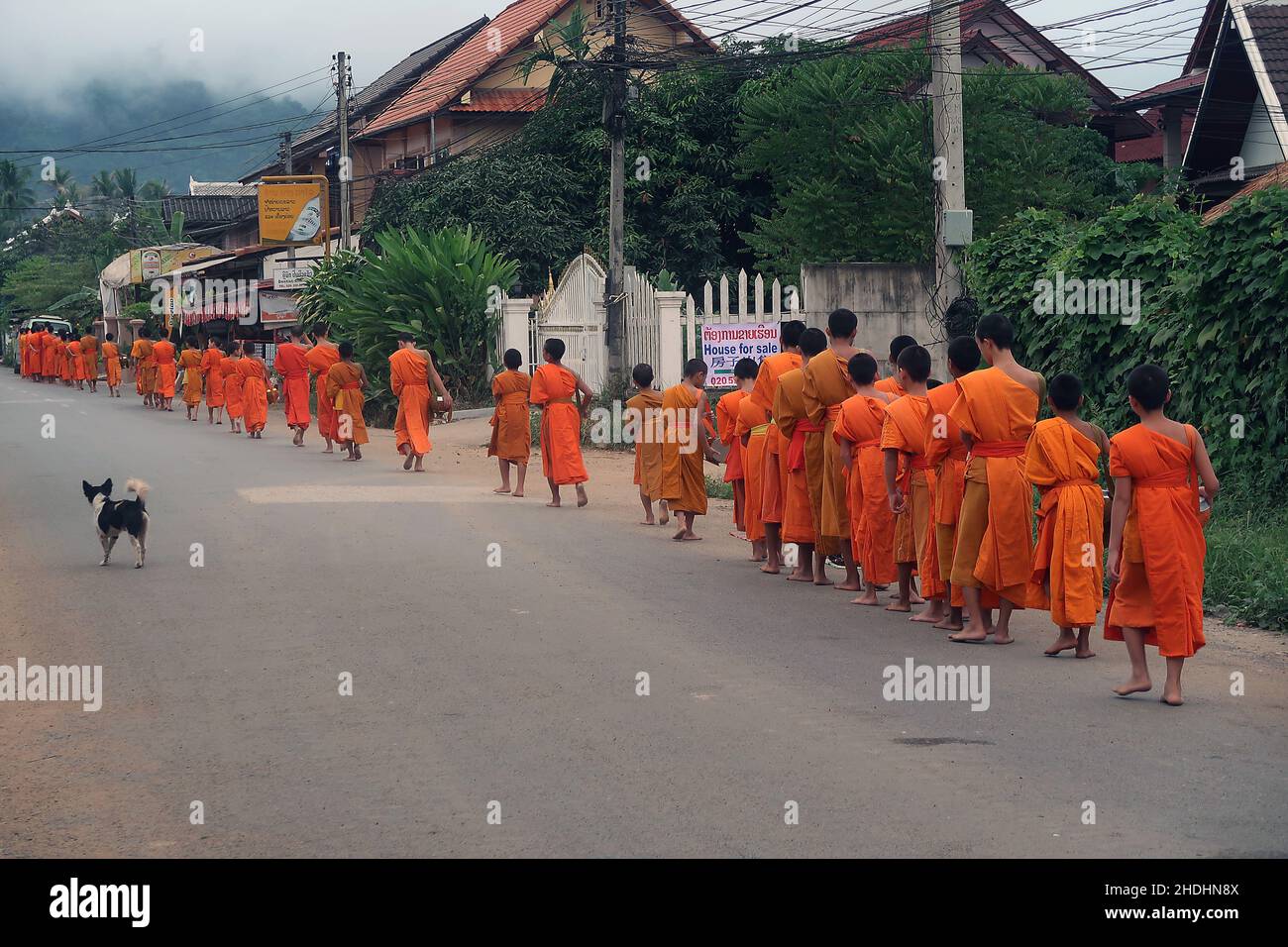 Buddhist monk from luang prabang hi-res stock photography and images ...