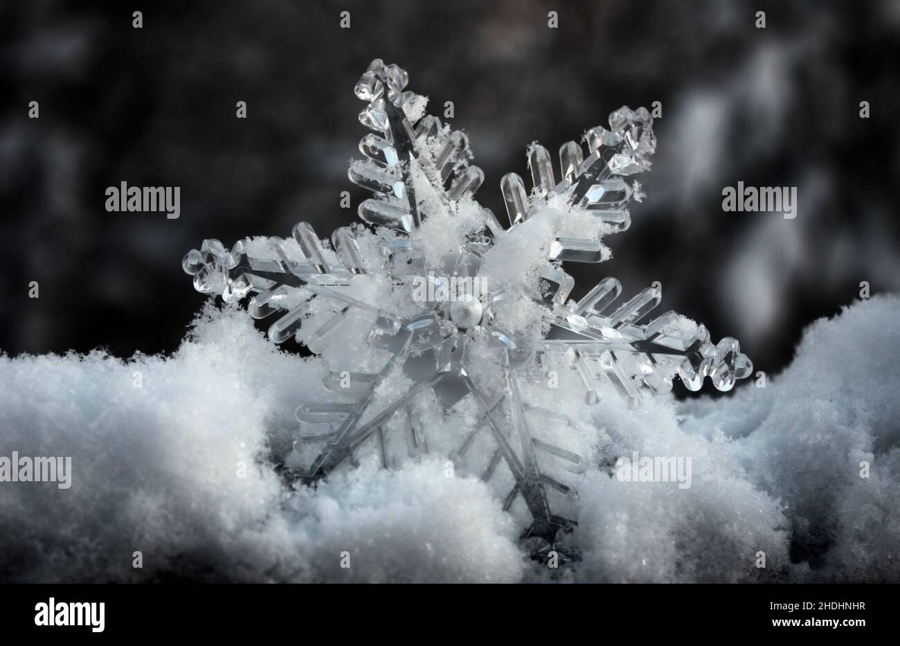 Artificial snow crystals hi-res stock photography and images - Alamy