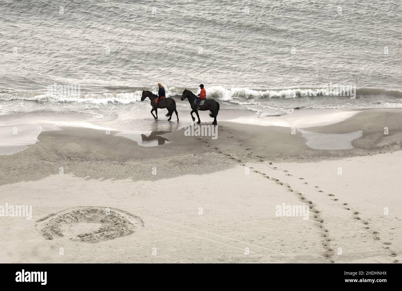 horse, rider, beach ride, ride, horses, riders, beach rides, rides ...